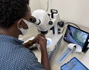 OHSU Innovations in Ophthalmology